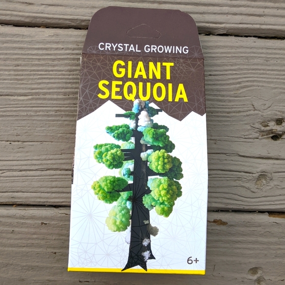 Copernicus Toys | Toys | Crystal Growing Kit Giant Sequoia | Poshmark